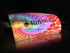 Rollable Display Maker Royole Raises $172M – China Money Network
